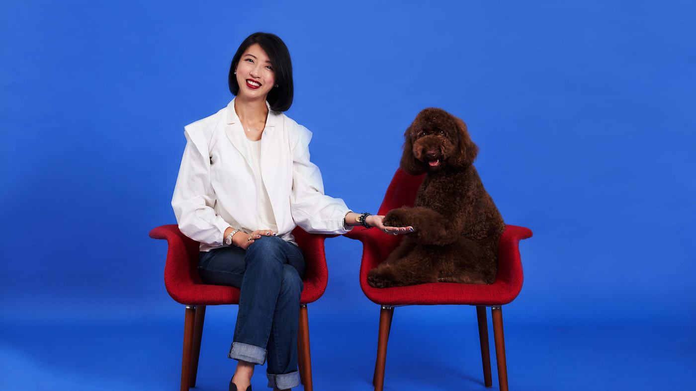 Delta enhances the pet passenger experience - Aircraft Interiors ...