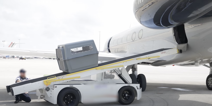 Bark Air's CEO flies crate class - Aircraft Interiors International